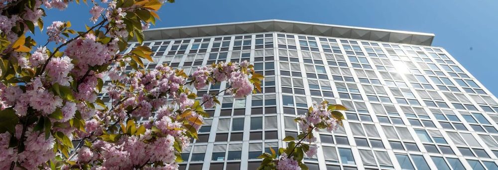 La raison d'être de la SEMMARIS - Marché de Rungis