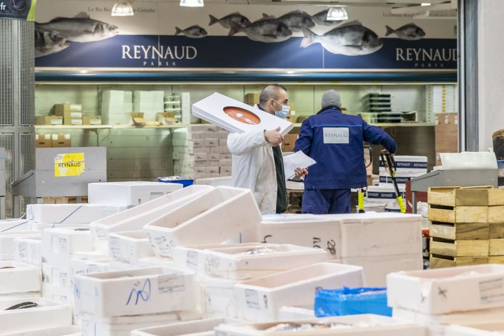 Visiter le Marché de Rungis : conditions et démarches
