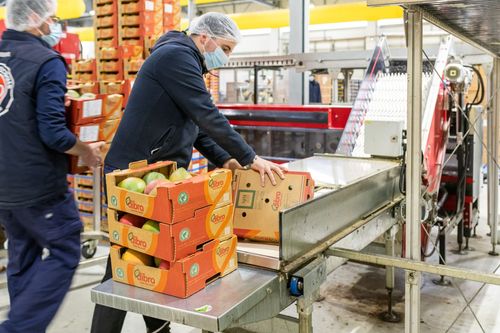 Le recrutement des salariés sur le Marché de Rungis