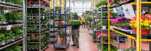 Connaître le Marché de Rungis - Marché de Rungis